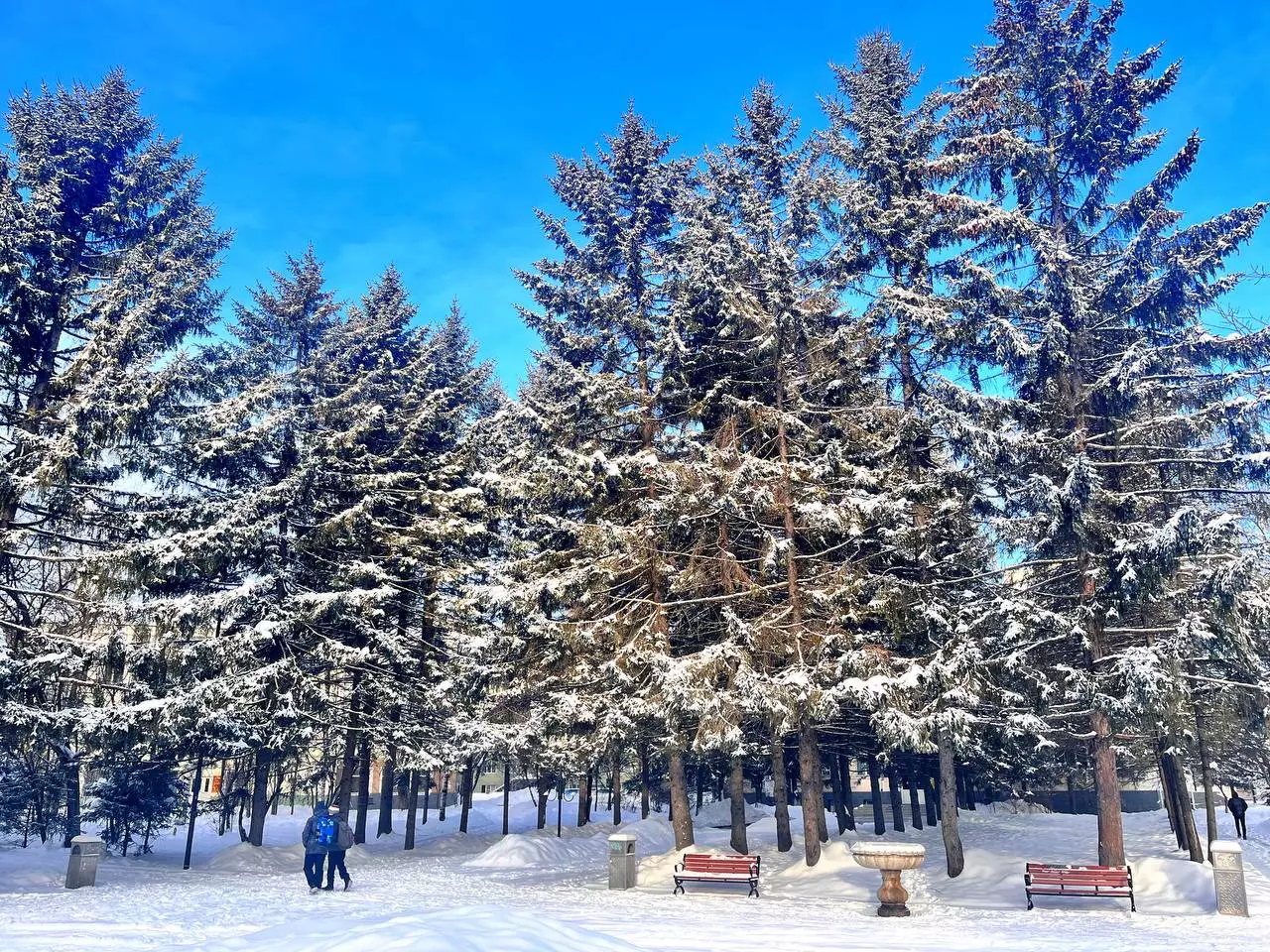 Какой будет погода во вторник в ЕАО, рассказали синоптики - LIVE DV ...
